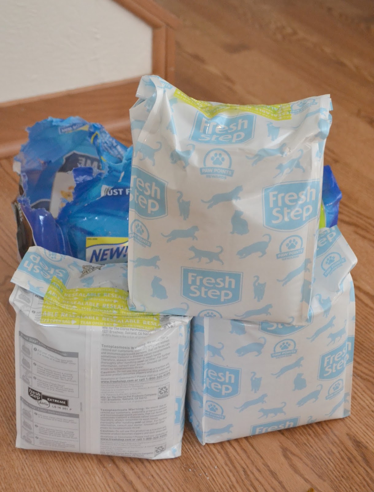 Tips on Keeping Your Cats Happy and Healthy - Building Our Story