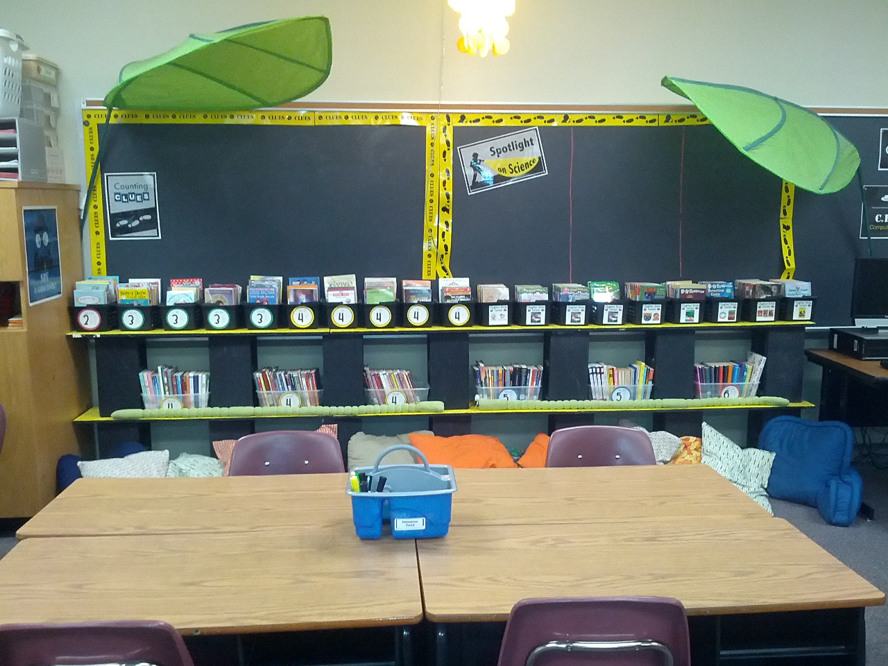 KinderTastic: Classroom Library and Accelerated Reader