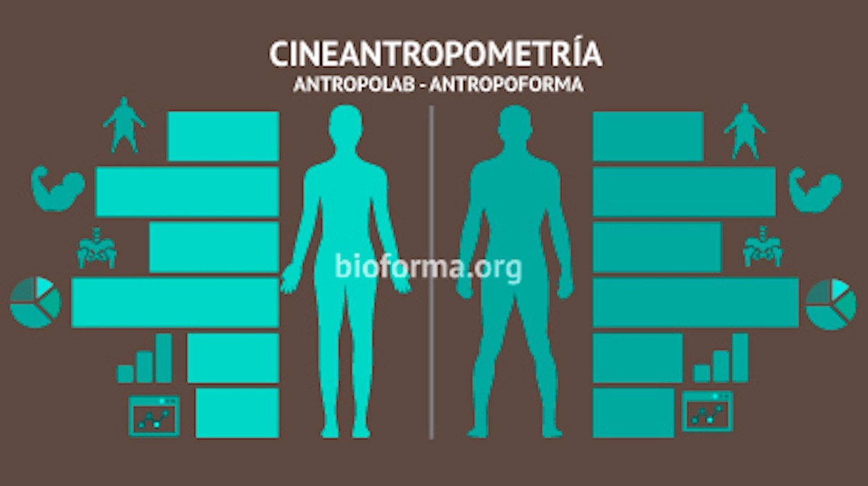 cineantropometria - wood scribd braxin