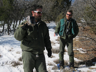 Four Corners Hikes-Mesa Verde: Mesa Verde Winter Ecology Hike