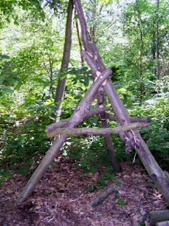 EcoDIY www.ecodiy.org: New cleaving brake in wood