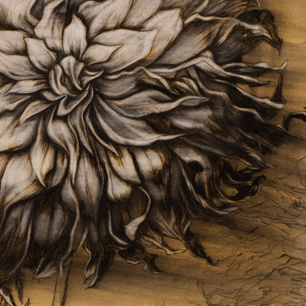 The Little Red Umbrella: Artists To Watch: Helen Gotlib