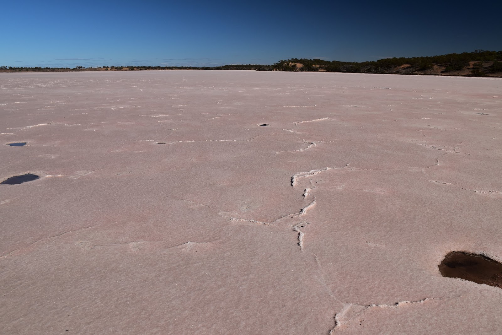 Goin' Feral One Day At A Time: Pink Lakes Walk, Murray~Sunset National ...