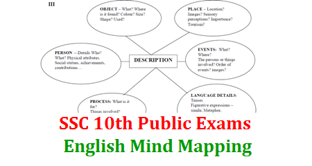 SSC English Grammar Mind Mapping for Public Examination - TS Teachers ...