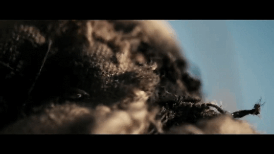 CINE PARA TODOS LOS GUSTOS: SCARECROWS - Estrenos-2018-HORROR-Sinopsis ...