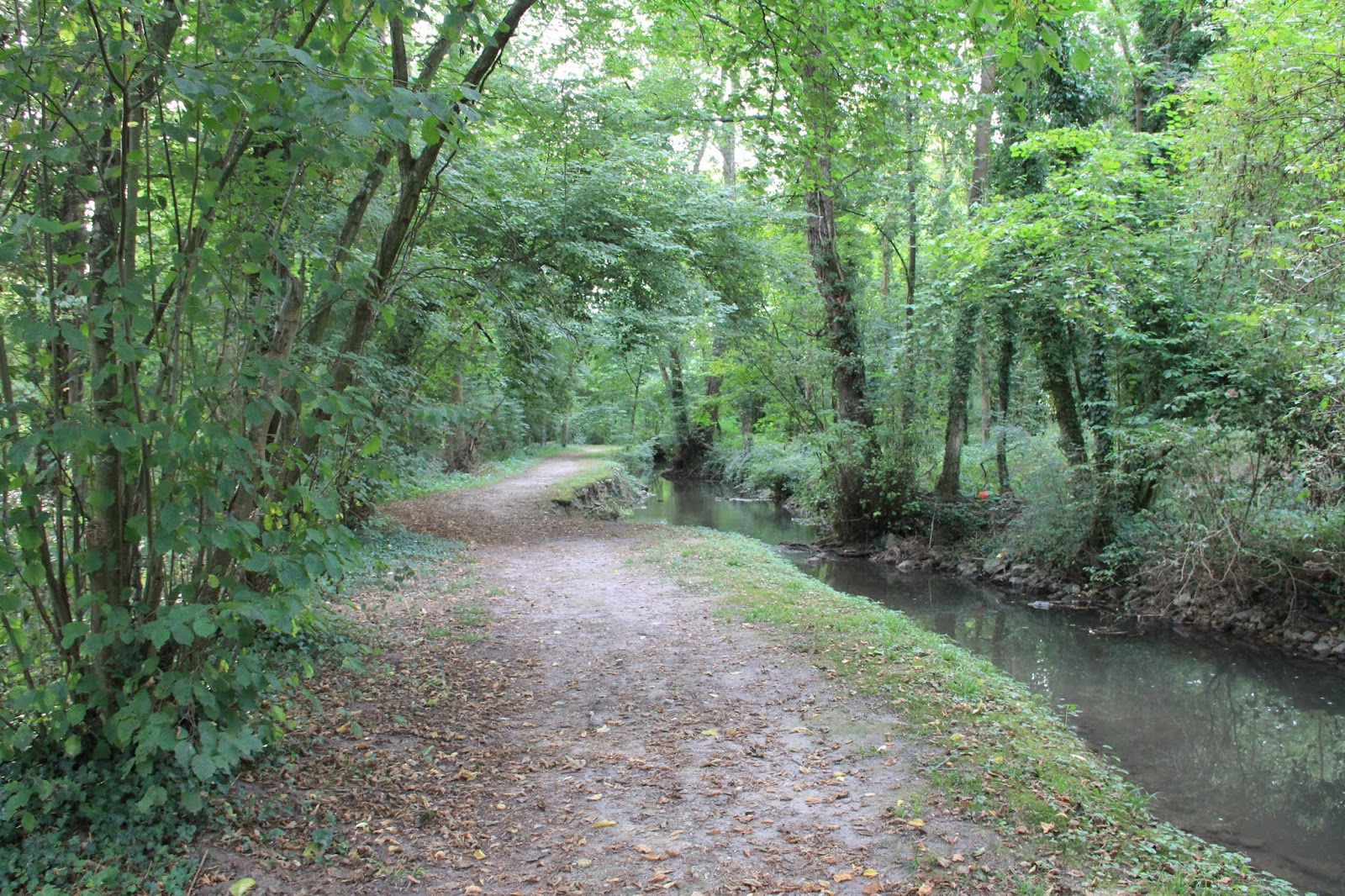 LA GAZETTE DE BIBI: PARC DE LA MAIRIE DE PRINGY