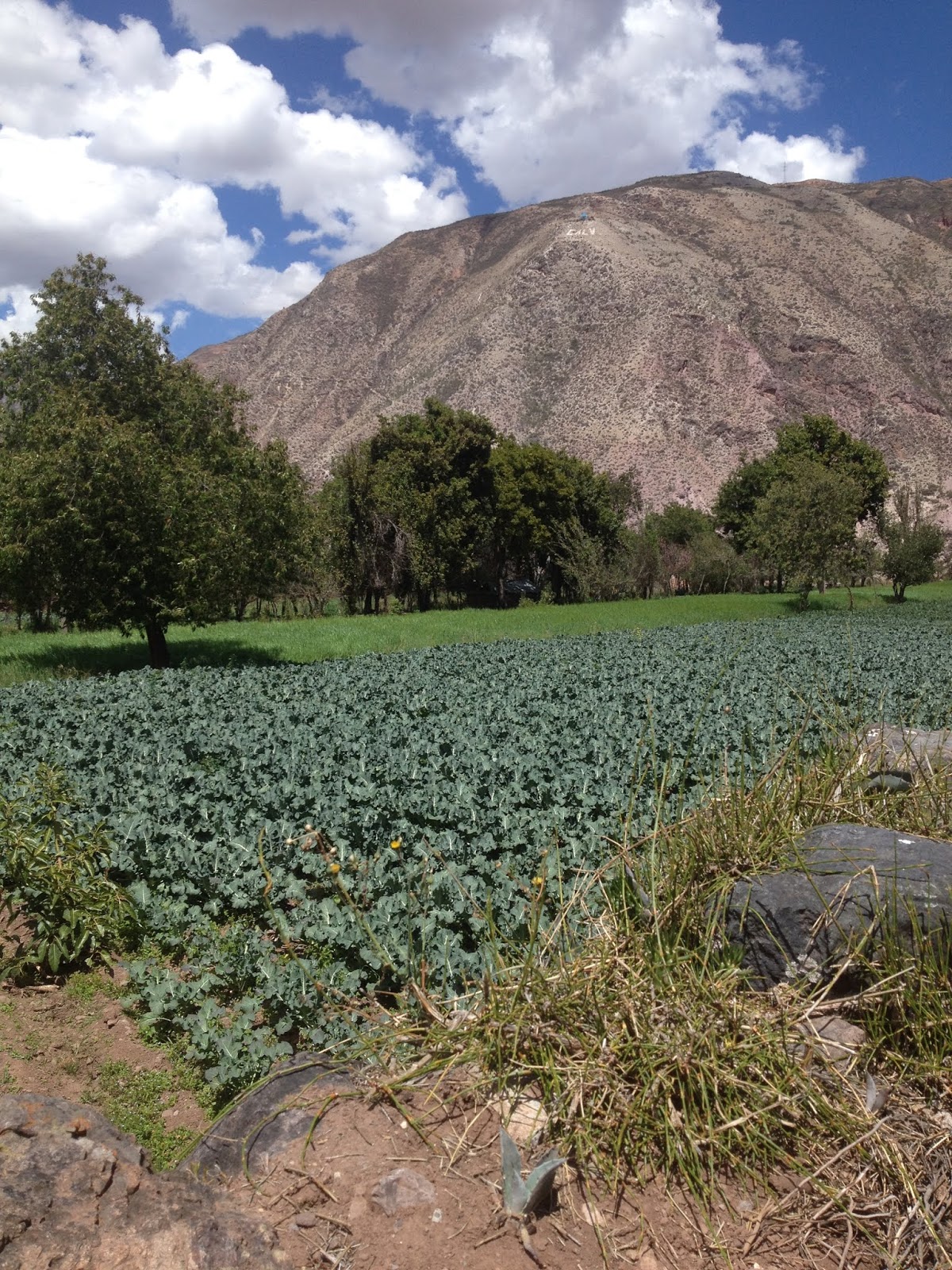 Paseo Andenes de Yucay