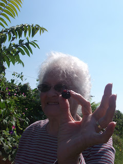 Screw Lucy Reviews: Live Well: A Pickin' and a Grinnin' in Virginia ...