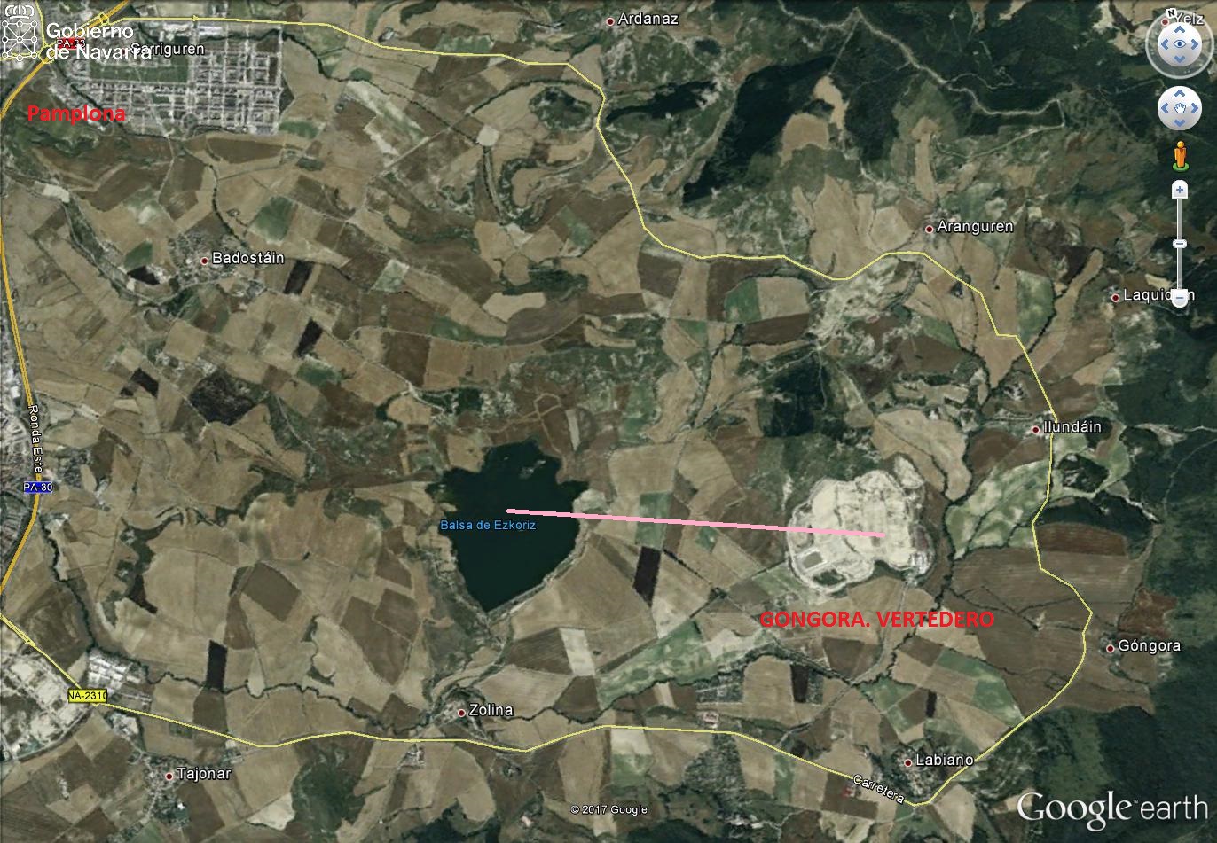 Aves de la balsa Zolina (Navarra): Patiamarillas migradoras en Zolina ...