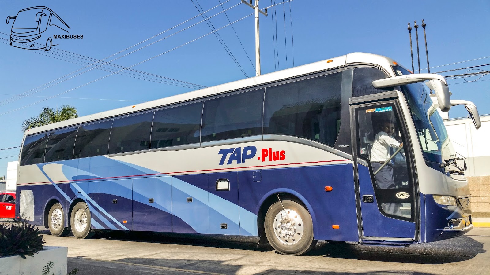 MAXIBUSES: TRANSPORTES Y AUTOBUSES DEL PACÍFICO, PLUS (TAP)