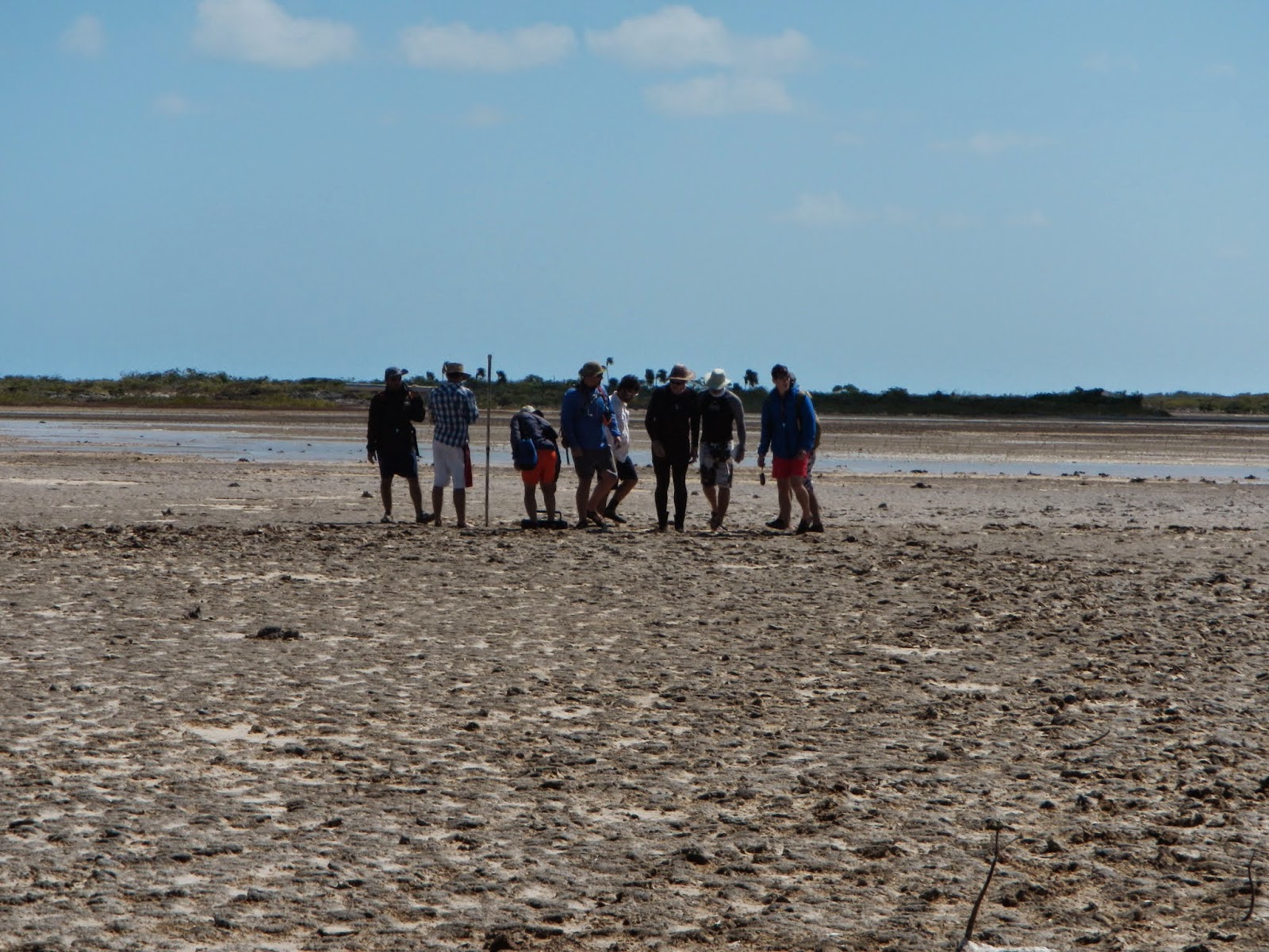 Finding Fossils...: Turks and Caicos Day 4- Ooid Shoal Day