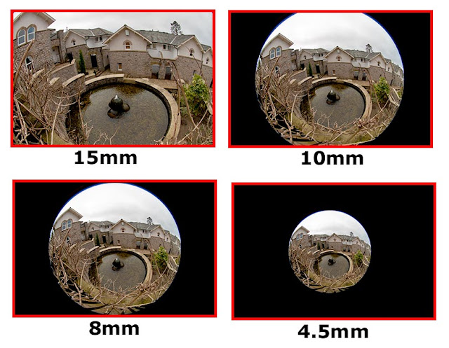 LensesForHire blog: Which fisheye lens?