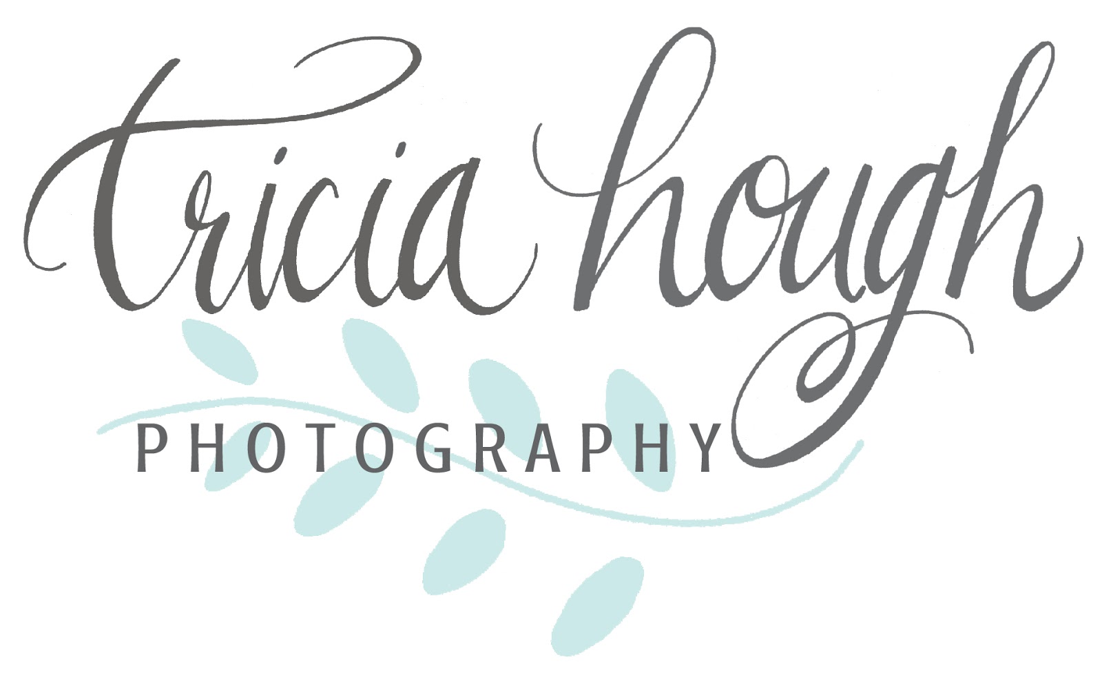 Eye Candy Creative Studio: DESIGN :: Hand Lettered LOGOS