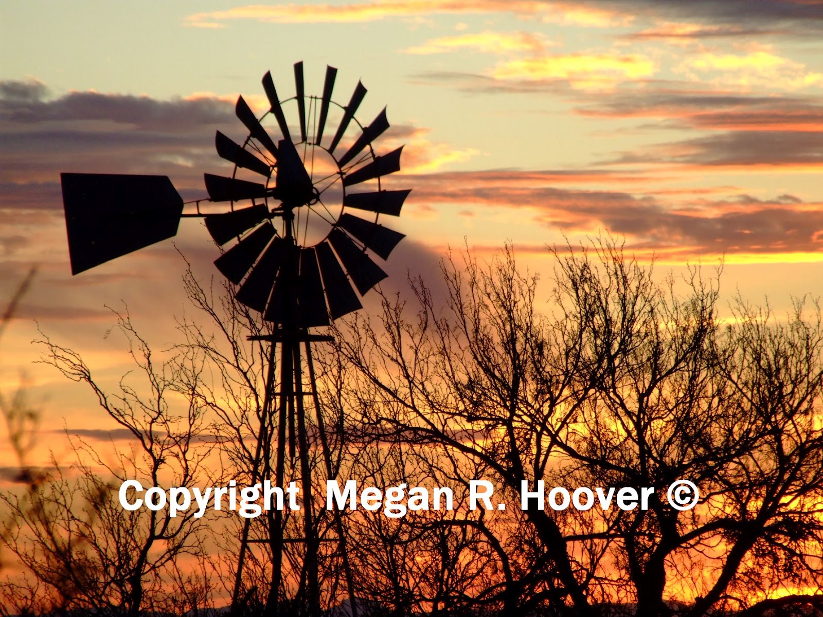 Meg's Nature Photography Blog: West Texas windmill sunset