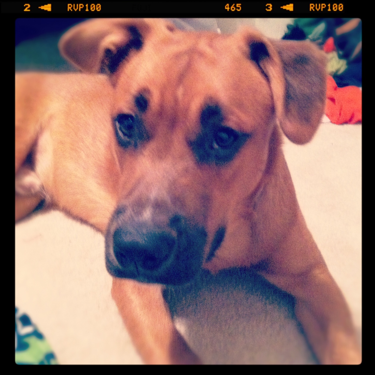 best. day. ever.: general omar bradley