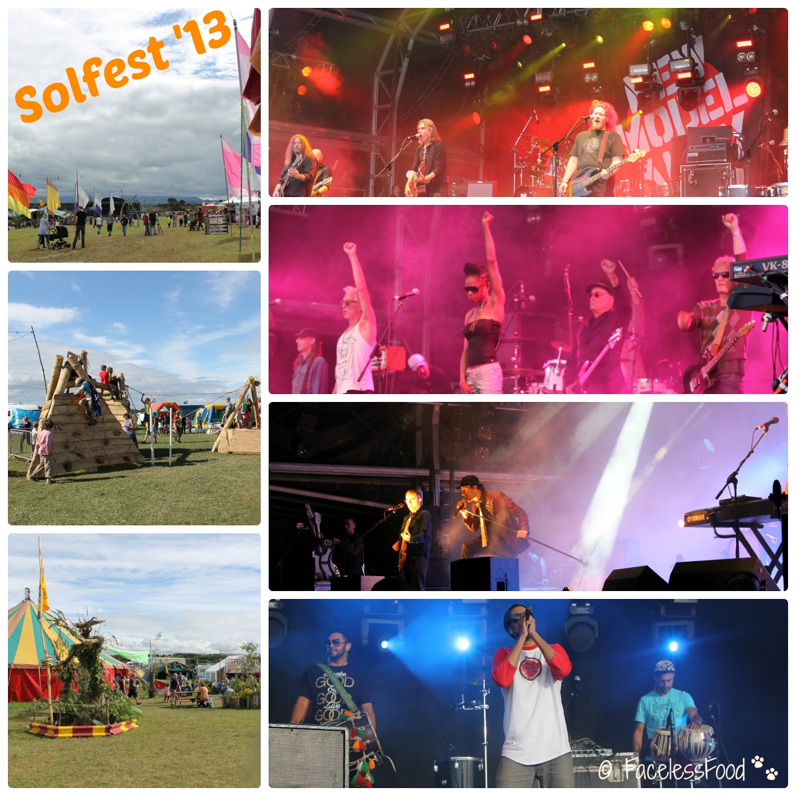 We Don't Eat Anything With A Face: Solfest Music Festival - a review