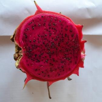Pitaya Polpa Roxa (Hylocereus polyrhizus)