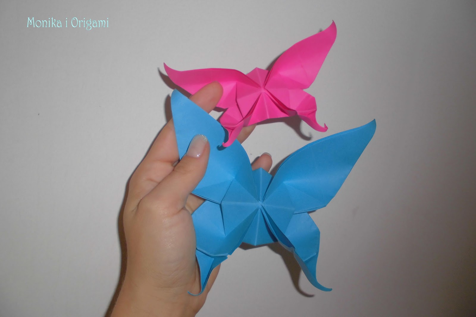 Monika i Origami: Motyl z zakręconymi skrzydłami