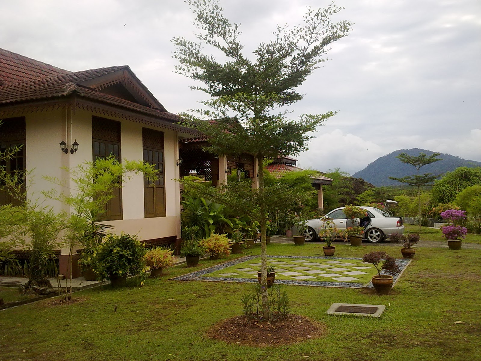 gugusan homestay: HOMESTAY SUNGKAI, BATANG PADANG PERAK
