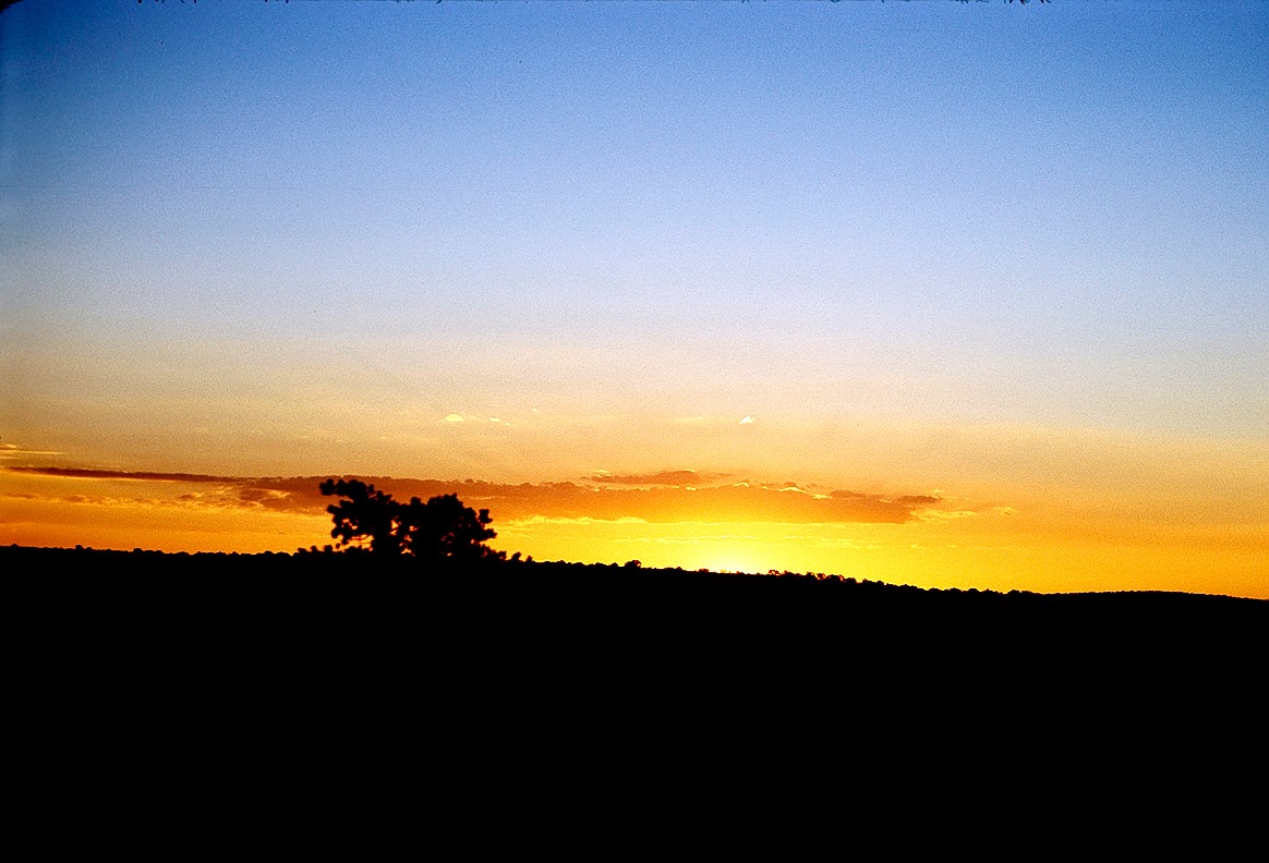 The Old Cowboy and Photography: The Doll House and Spanish Bottom