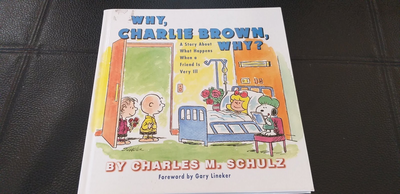 Kid Books Blog: 366.Why Charlie Brown, Why?