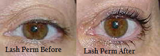 Lash Perm