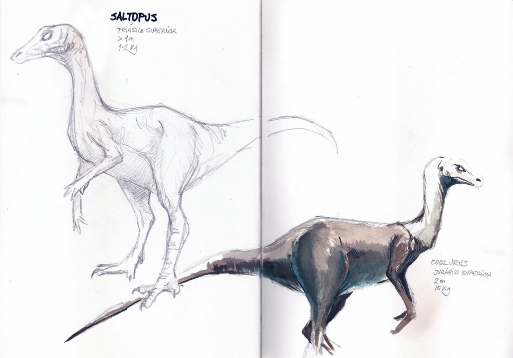 EL NATURALISTA DESPISTADO: DINOTERAPIA