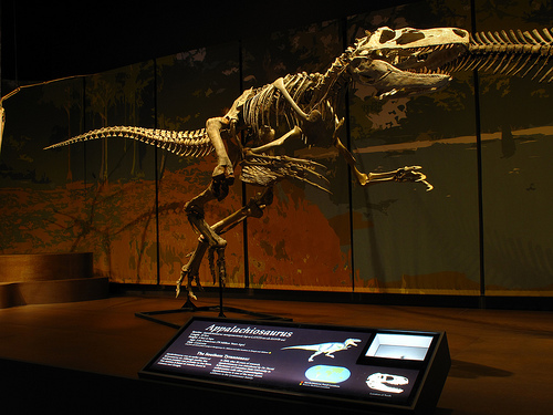 Extinct Animal of the Week: Bones in Alabama