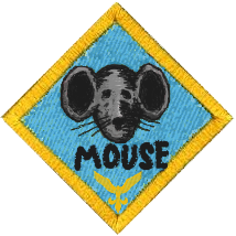 Raven Scout Members and Merit Badges Earned