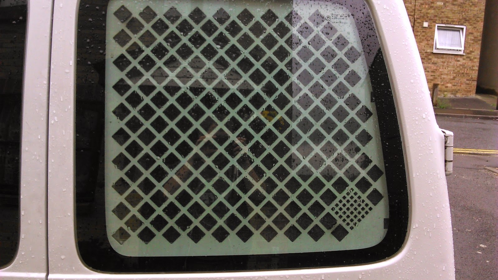 Micro-Camper Conversion - Citroen Berlingo: Rear window covers