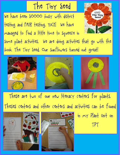 Golden Gang Kindergarten: The Tiny Seed