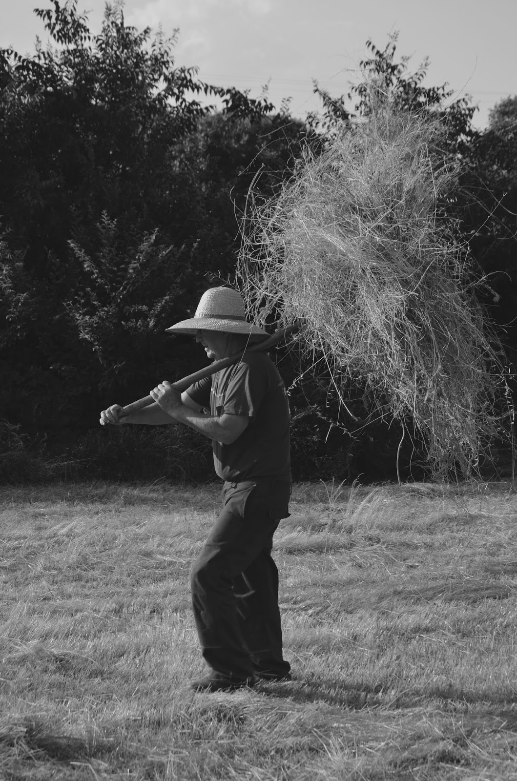 YEGUADA MILITAR: FABRICANDO UN ALMIAR