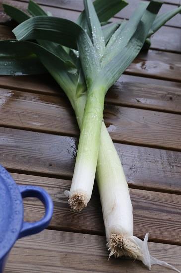 Fröken Dills kök: Purjo, purjo