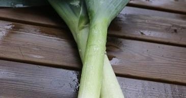 Fröken Dills kök: Purjo, purjo