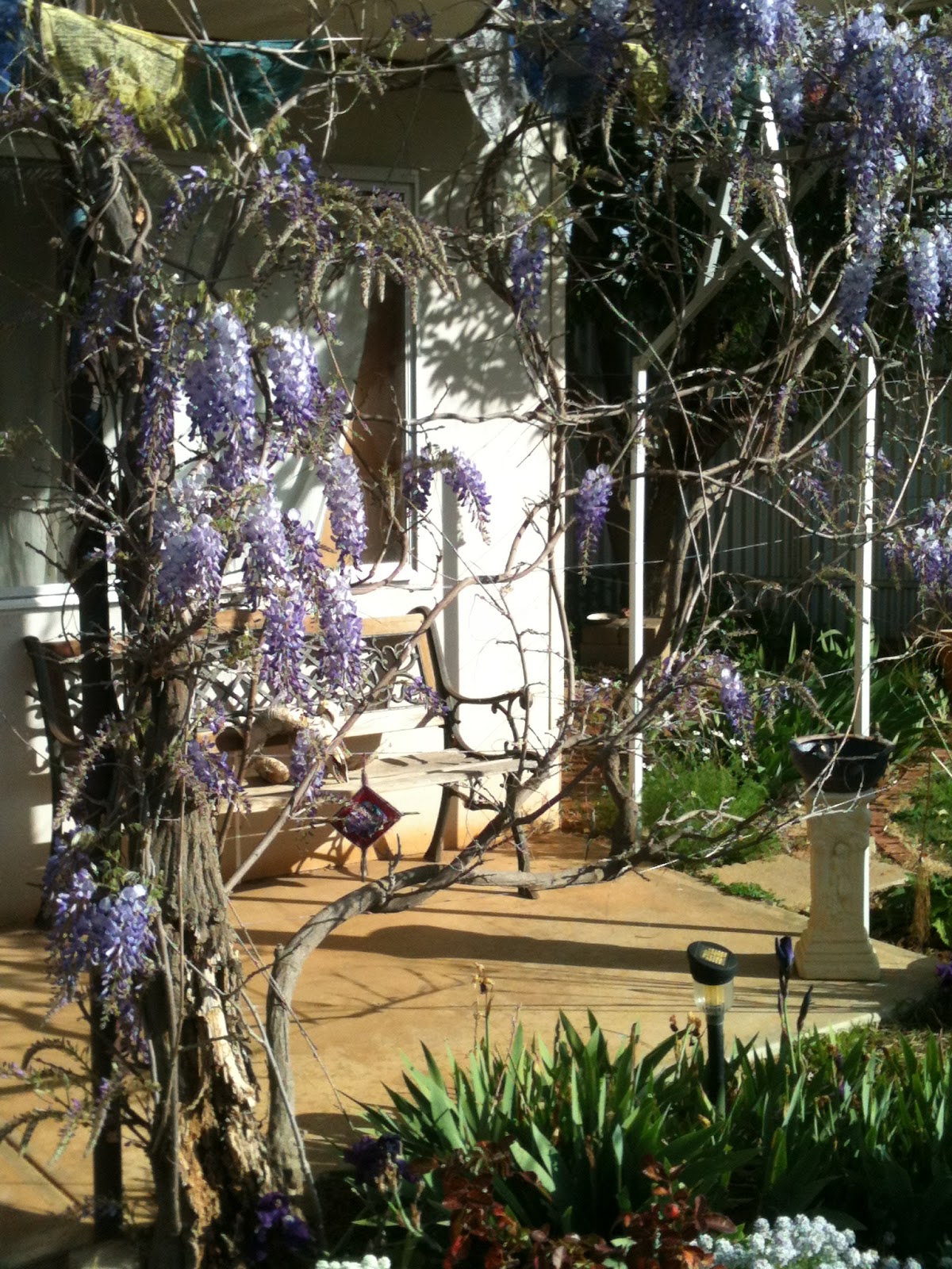 The Goddess House: Spring has arrived at The Goddess House