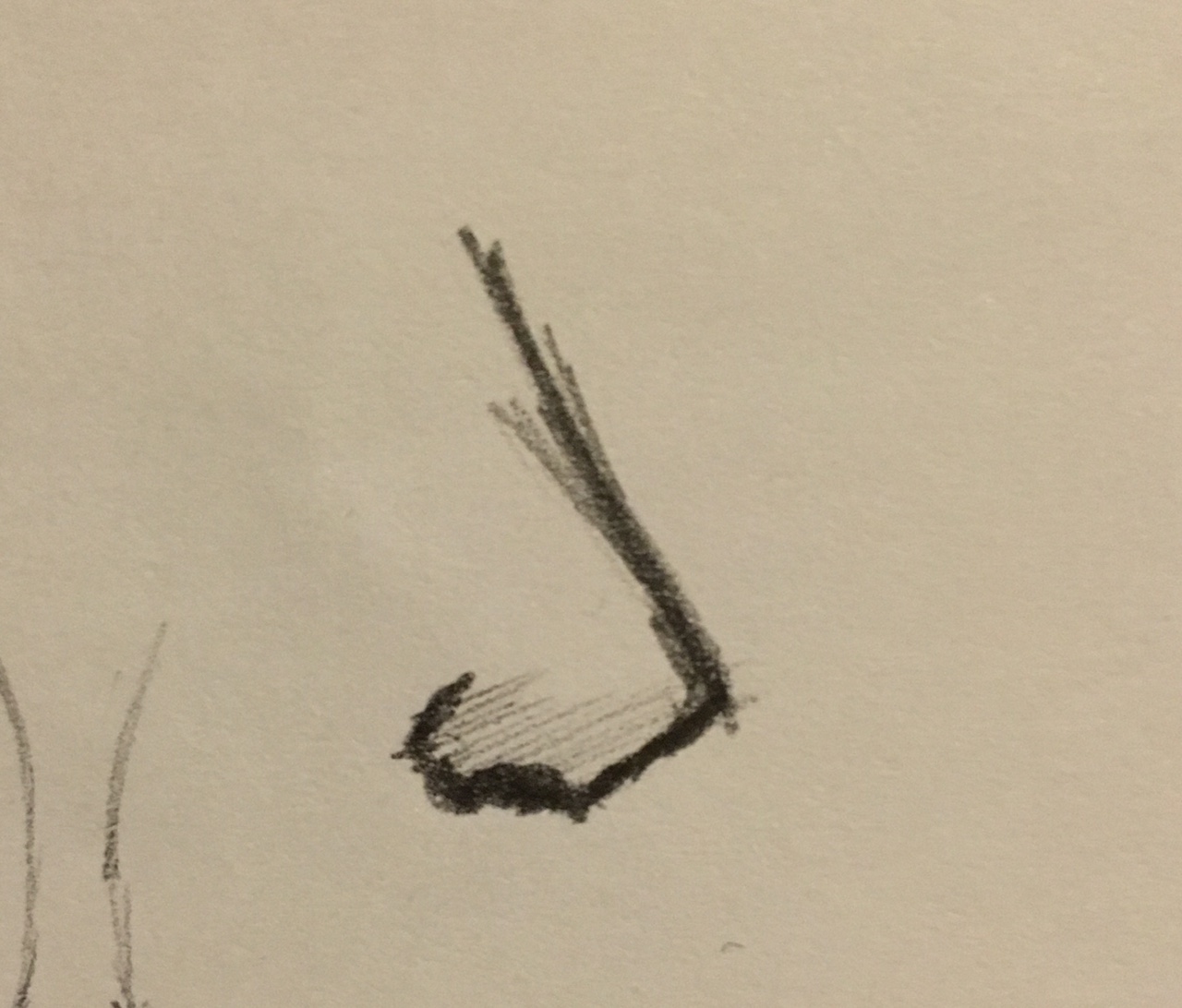 Drawn To Writing: How To Draw Noses!