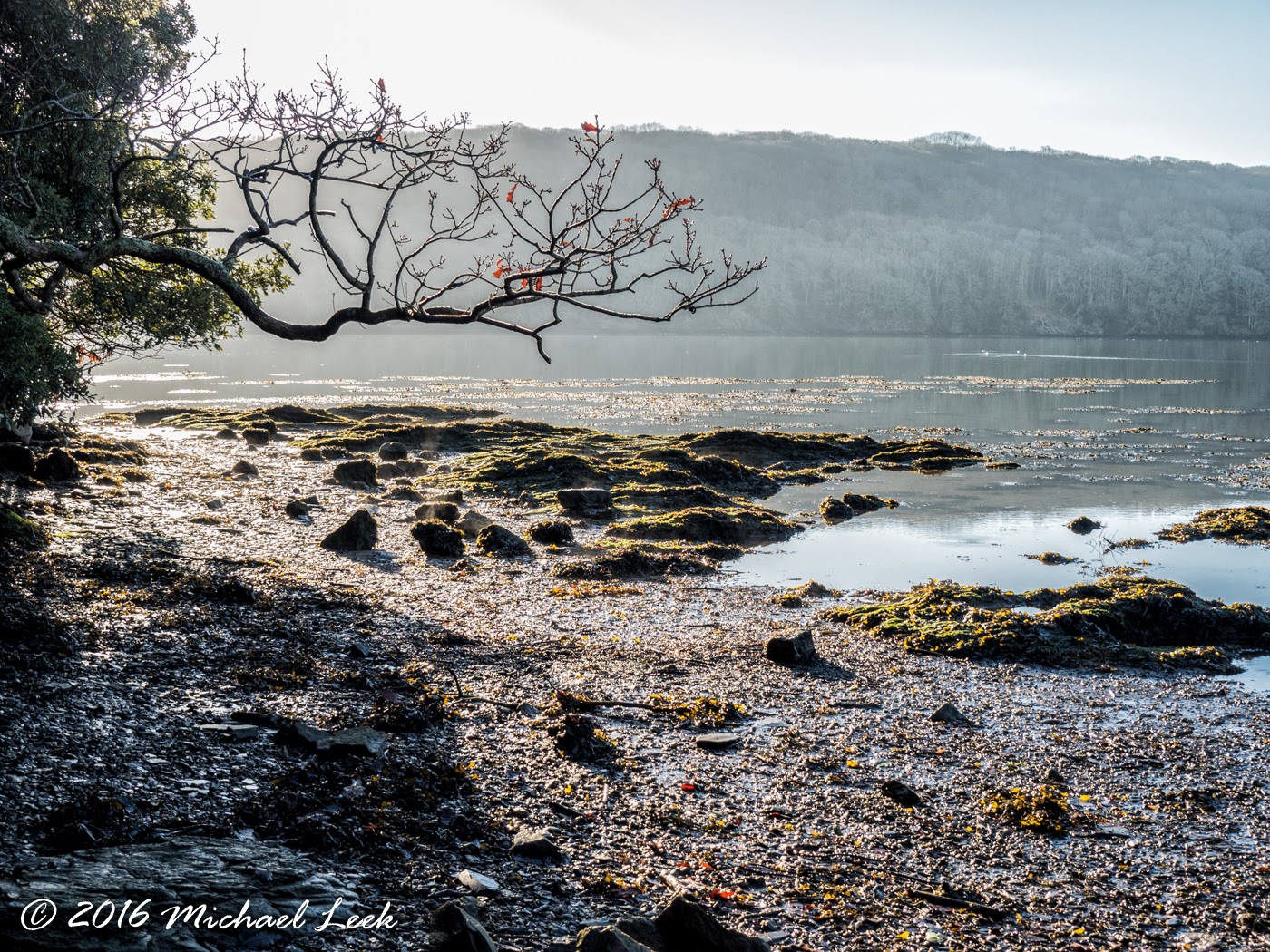 My Dartmoor Walks: Tuesday 3rd January 2017 - A Walk Around Kitley Estate