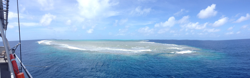 Bronson Walkabout: Coral Sea Safari