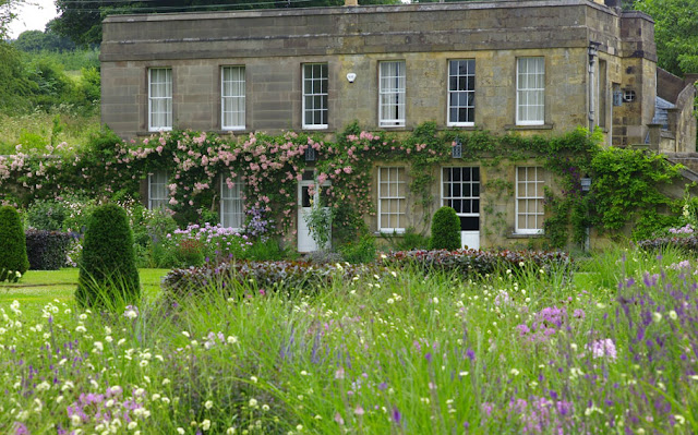Garden Inspiration from Arne Maynard..