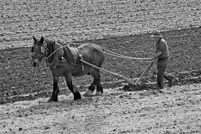 OriaVerde: Tiempo de labrar