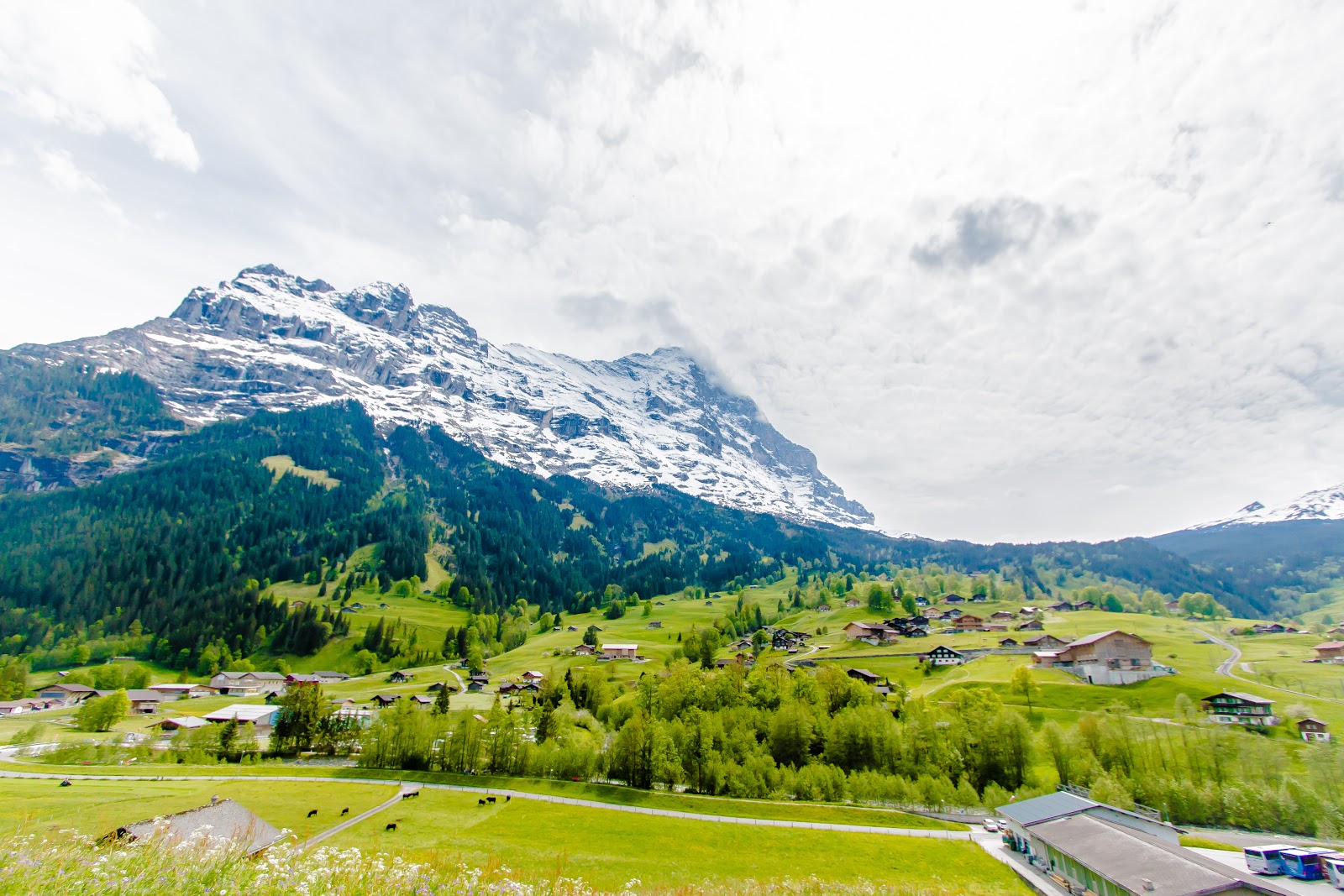 여 행 융프라우요흐 Jungfraujoch