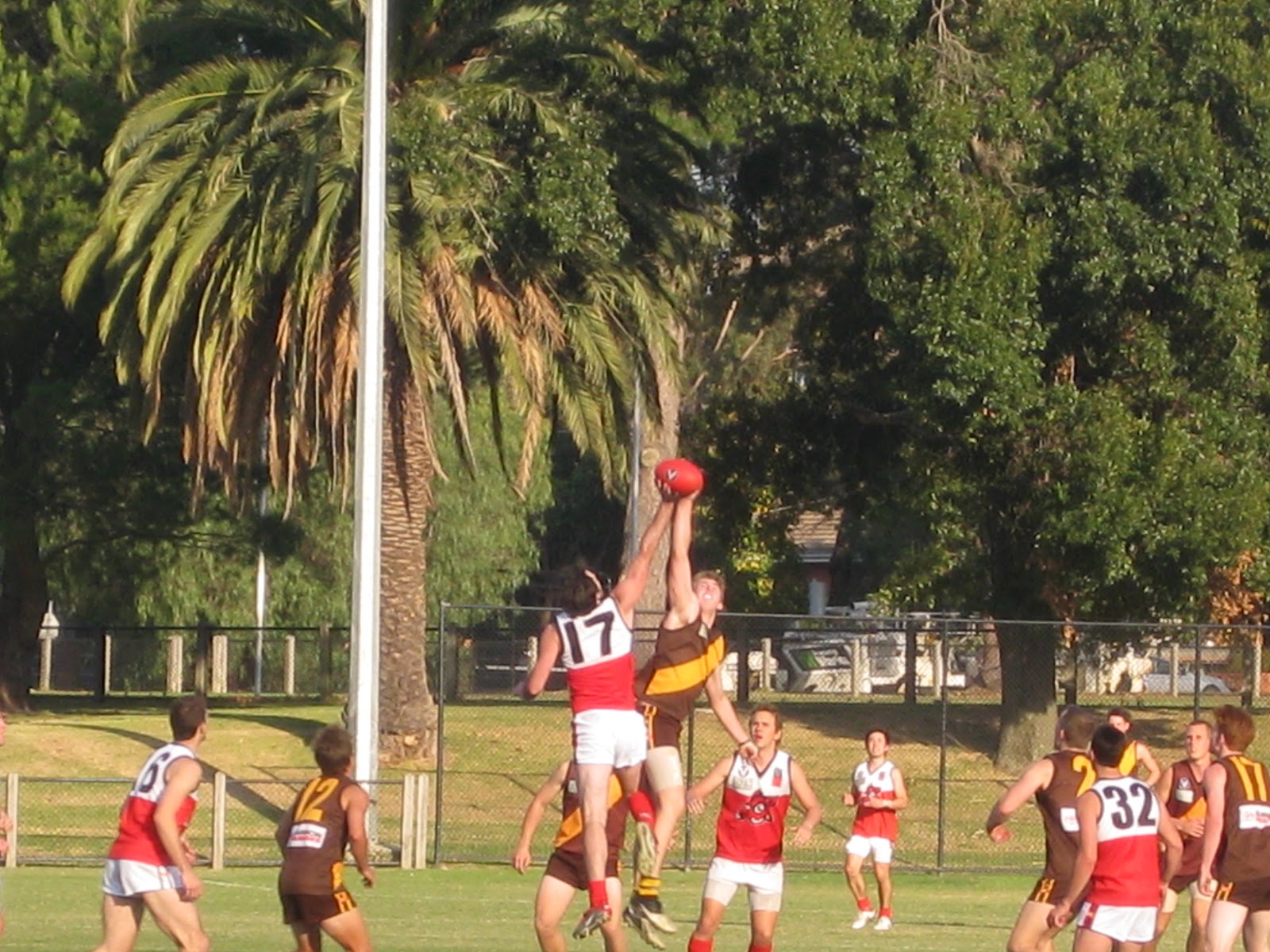 The Irrelephant Man: Swinburne Razorbacks match report