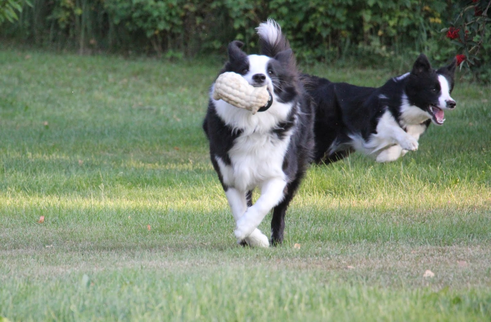 Suuret oli suunnitelmat...