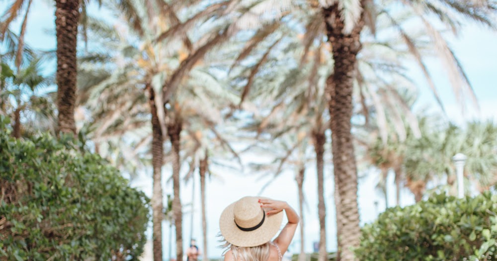 Miami In June - A Travel Diary | La Petite Noob | A Toronto-Based ...