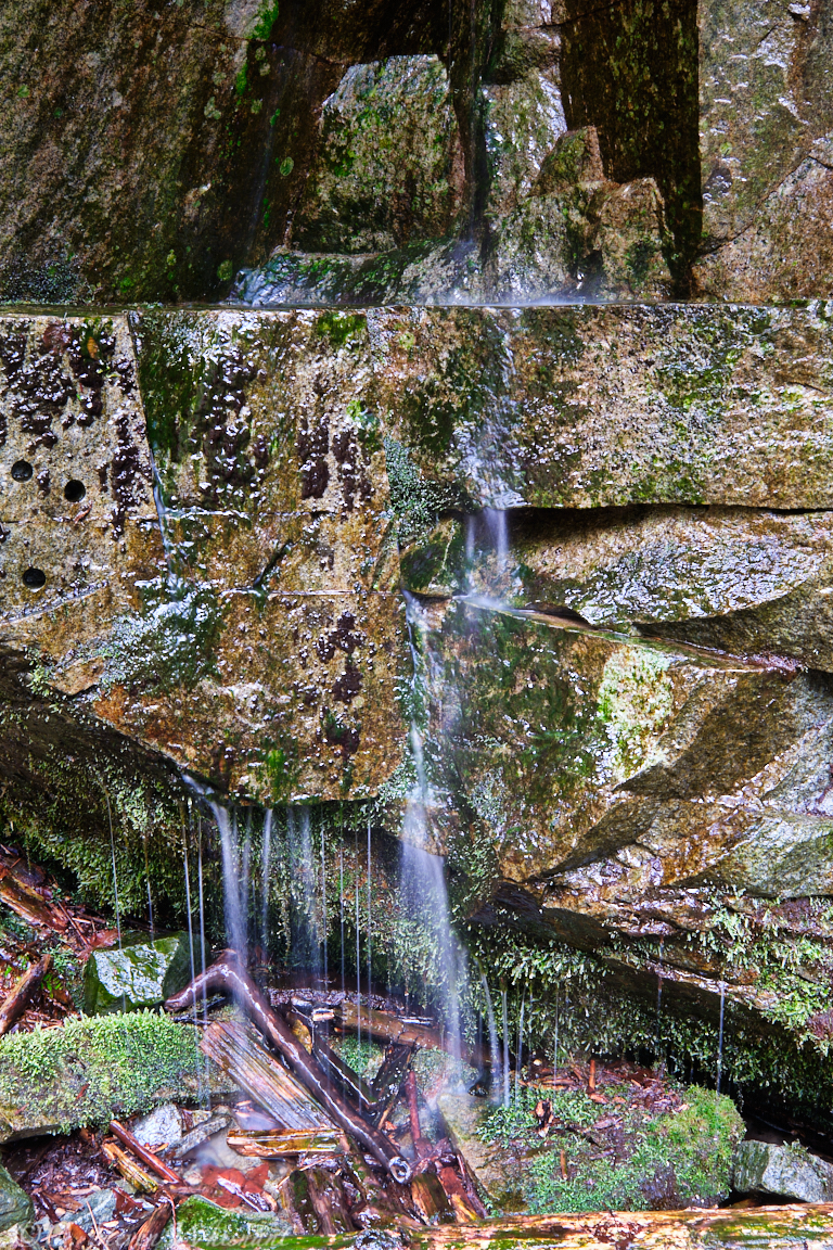 No Better Life: Granite Falls Fish Ladder