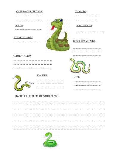 Modelos didácticos para primaria: DESCRIPCIÓN DE ANIMALES Y OBJETOS.