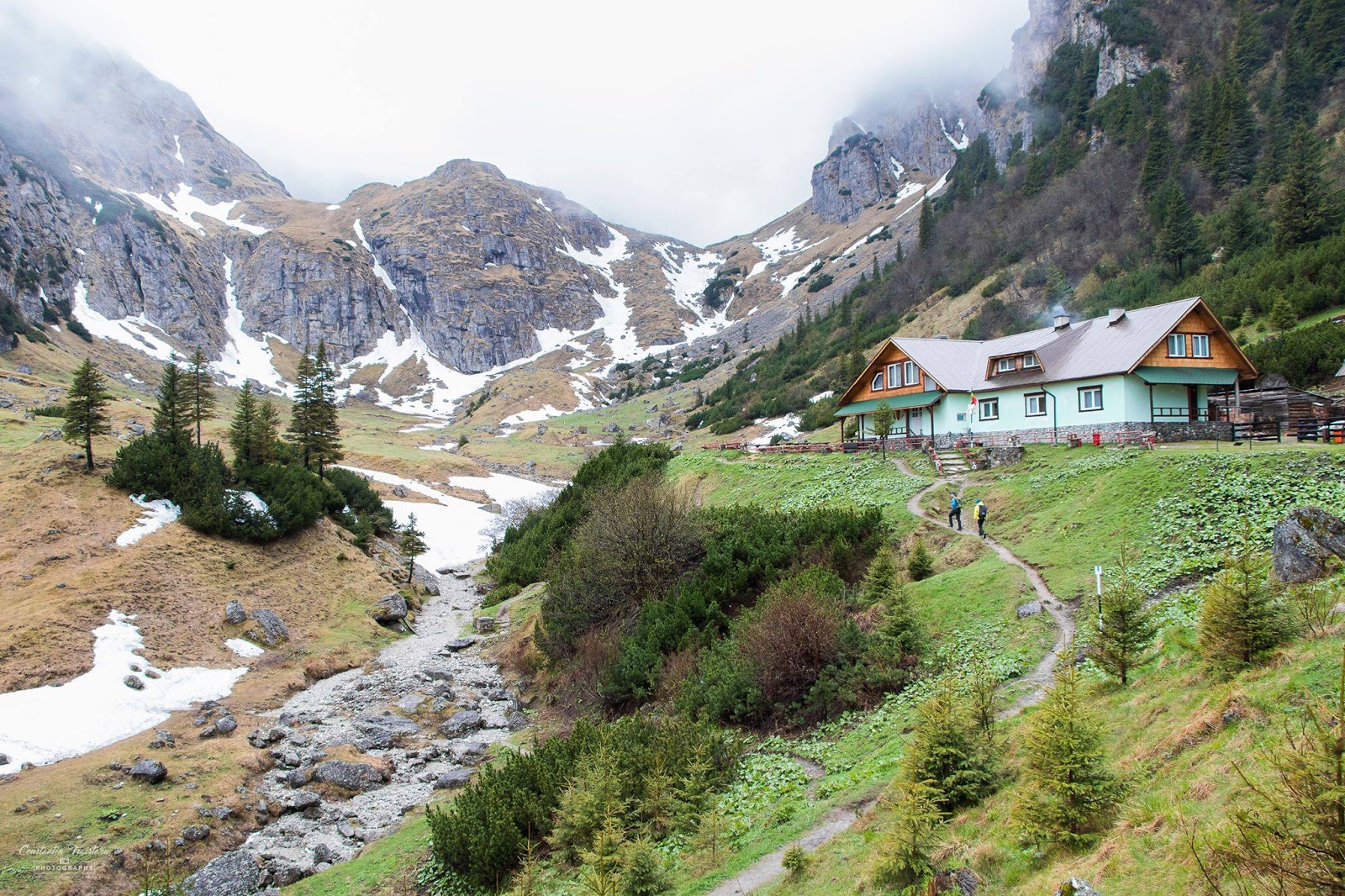 Munții Carpați - Știați că..?.