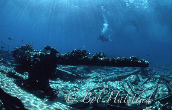 Bob Halstead, the award-winning photographer – WW2Wrecks.com