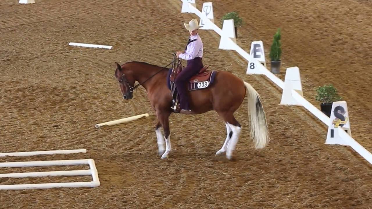 What The Heck Is Western Dressage?