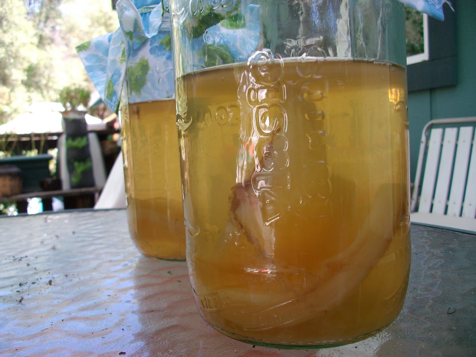 Big Tree Kombucha: "No Tea Kombucha"